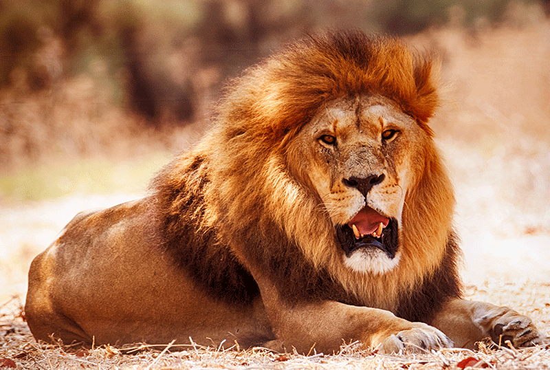 The Power of Pleasure: Why the Second Chakra is Essential to Your Well ...